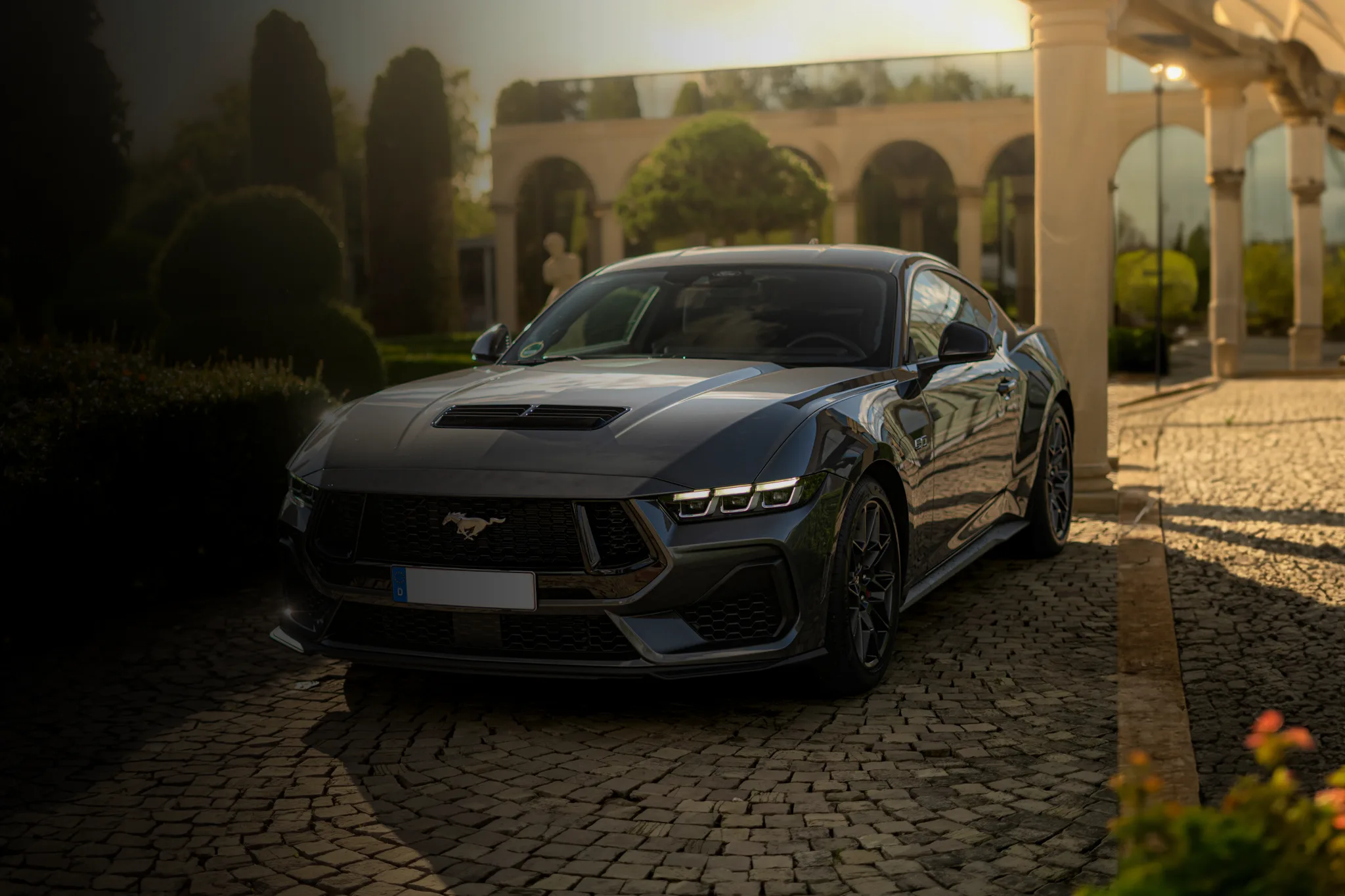 Startseite - Sportwagen KTNG